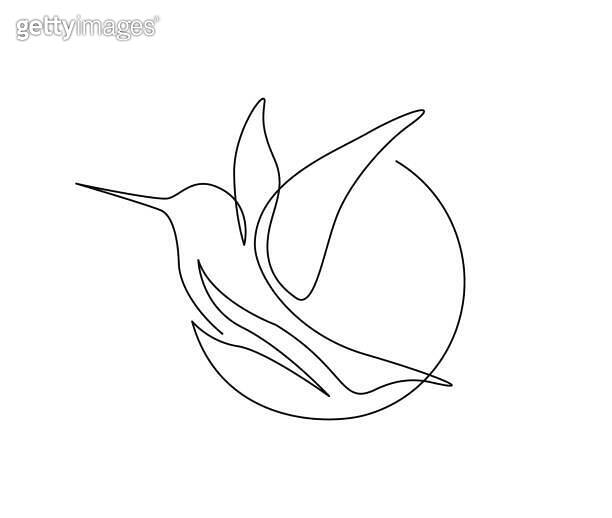 Continuous one line drawing of collibri bird . Simple humming bird ...