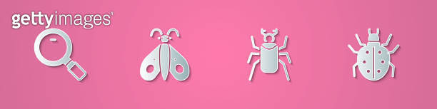 Set paper cut Magnifying glass, Butterfly, Beetle bug and Mite icon ...