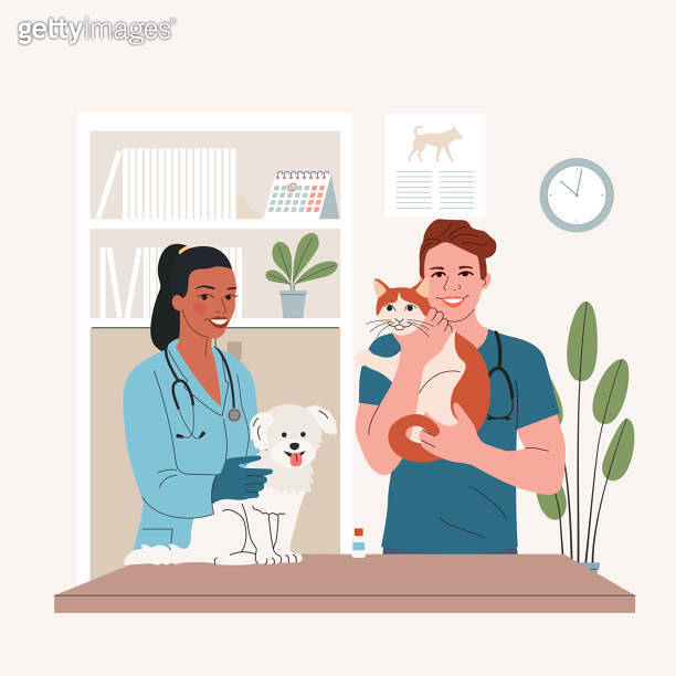 Pet veterinary clinic. Veterinary doctors with animals. Vector flat ...
