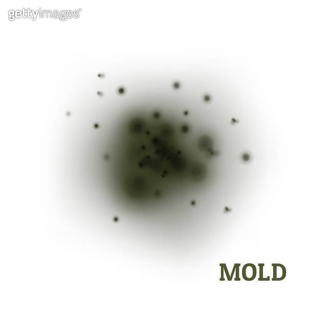 Black mold fungus stain Spot in the center 이미지 (1792975586) - 게티이미지뱅크