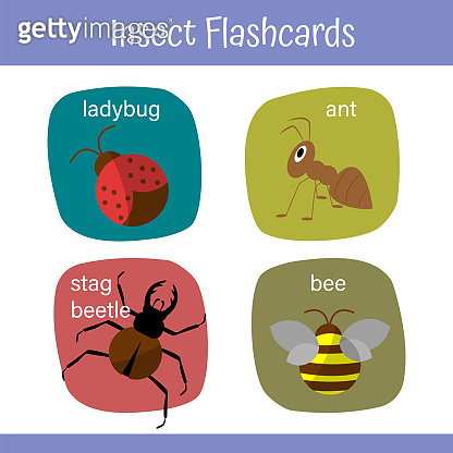 Insects Game Flashcards for Preschool Children. Educational worksheet ...