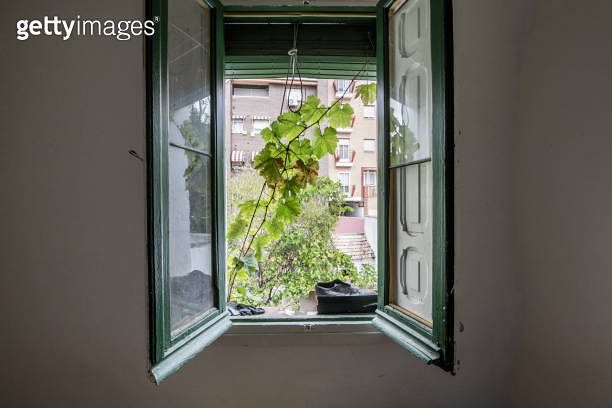 Room with an open window with leaves of wood and glass painted green ...