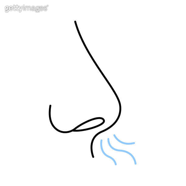 Nose, breath, line icon. Nasal breathing, odour sense. Nasal breath ...