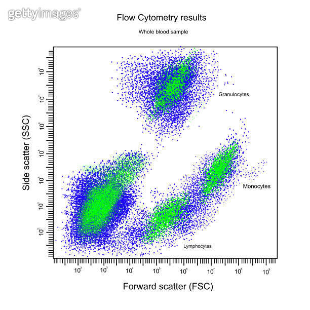 The flow cytometry result of Whole blood sample that analyzes in ...