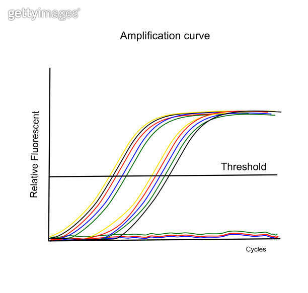 The amplification curve of real-time PCR reaction for target DNA ...