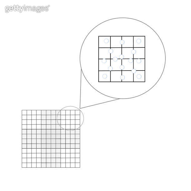 The grid line on hemocytometer for calculation of cell counting. 이미지 ...