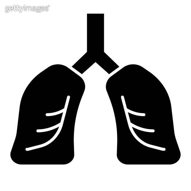 Lungs organ line and solid icon. Healthy human detailed anatomy of ...