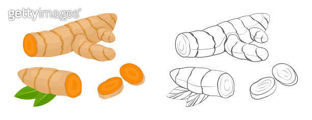 Turmeric color cartoon illustration and outline. Vector spice icon ...