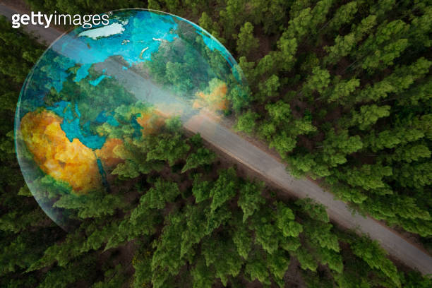 Aerial view of road and green pine forest and soil. electric train ...