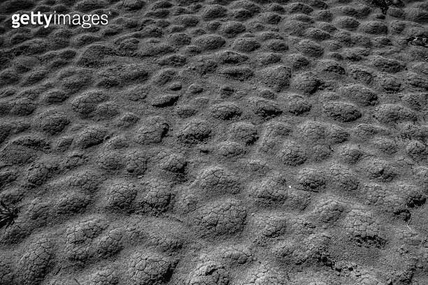 The hilly and bumpy soil looks very dry and unusable (1462161246) - 게티이미지뱅크