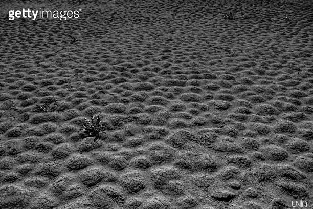 The hilly and bumpy soil looks very dry and unusable (1462161265) - 게티이미지뱅크