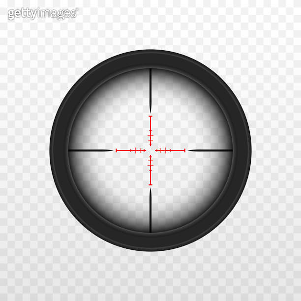 Vector sight on an isolated transparent background. Realistic sight ...