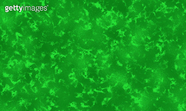 Shiny Green metallic foil paper texture background 이미지 (1489244498 ...