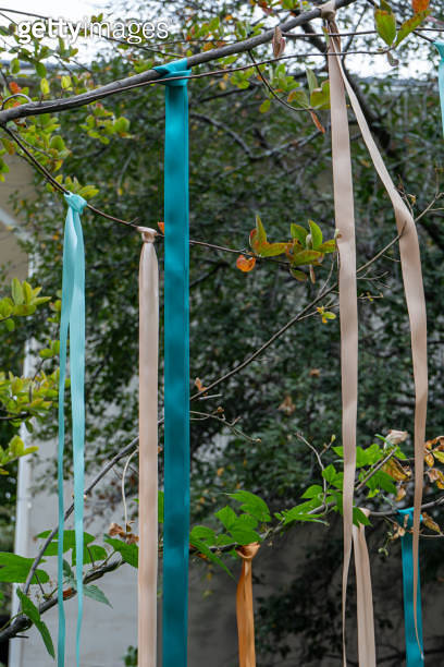 Festive decoration in the form of ribbons tied to tree branches 이미지 ...
