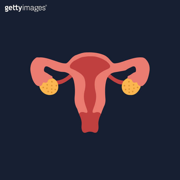 Human Internal organs, cartoon anatomy body part female reproductive ...