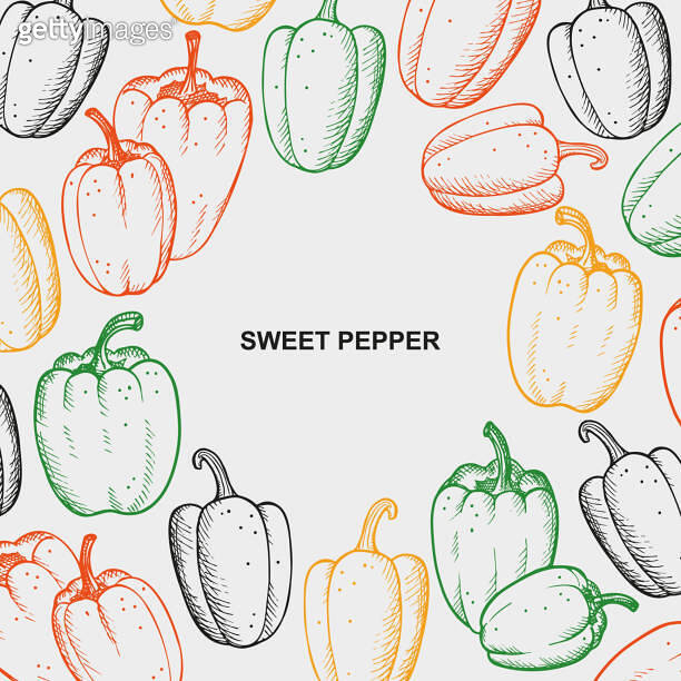 Sweet pepper label template background. Hand drawn vector engraved ...