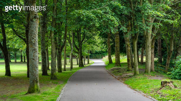 Path to walk through the public park with leafy trees next to St ...