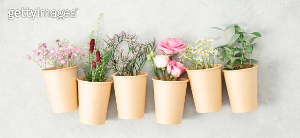 Paper cups with spring flowers, zero waste concept 이미지 (1738648554 ...