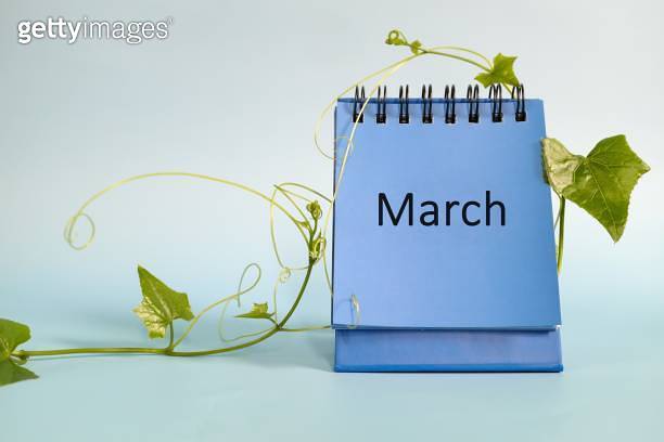 Selective focus of March desk calendar on blue background with spring ...