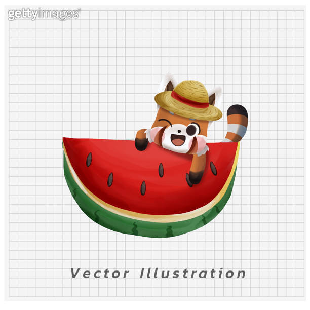 Cute kawaii red panda and a big watermelon, vector cartoon illustration ...