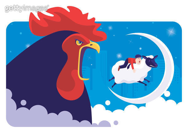 rooster crowing when tired lying on sheep which jumping over moon ...