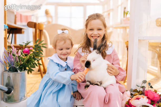 Portrait of two cheerful adorable little sisters in beautiful dress ...