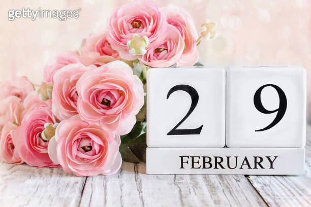 Leap Year February 29th Calendar Blocks with Pink Ranunculus ...