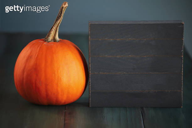 Autumn Blank Sign with Small Orange Pumpkin 이미지 (1704682640) - 게티이미지뱅크