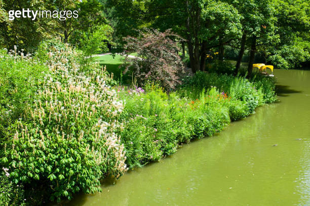 Lake in a city park with picturesque banks. Nice seating area. 이미지 ...