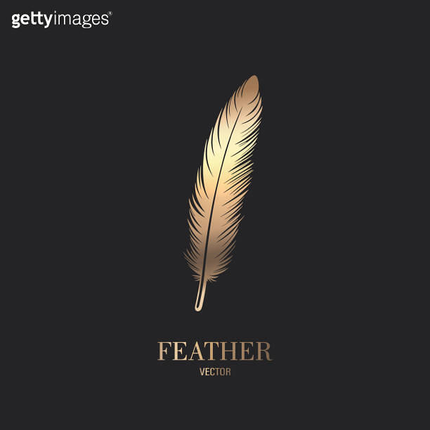 Vector Fluffy Golden Color Feather Logo Icon, Silhouette Feather ...