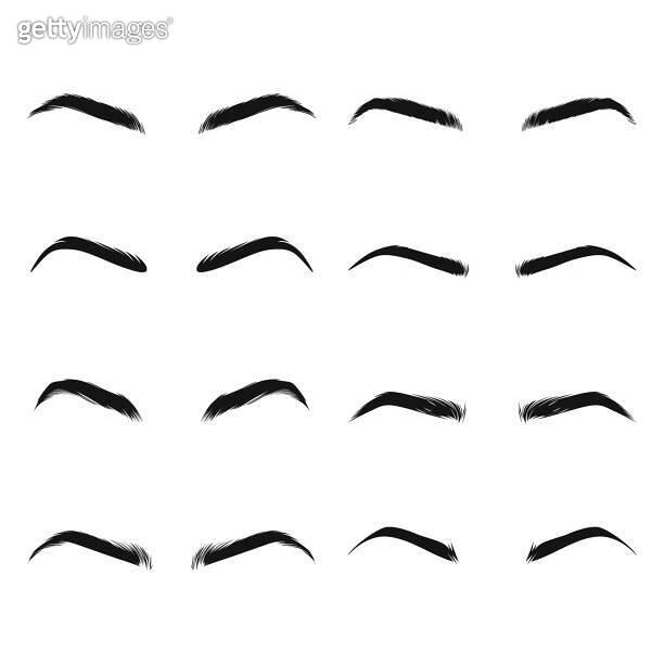 Vector Hand Drawn Woman s, Female Sexy Eye Brows, Perfectly Shaped ...