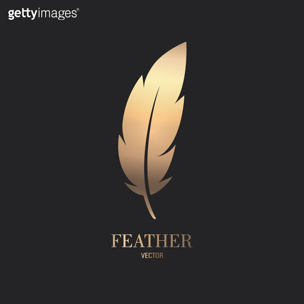 Vector Fluffy Golden Color Feather Logo Icon, Silhouette Feather ...