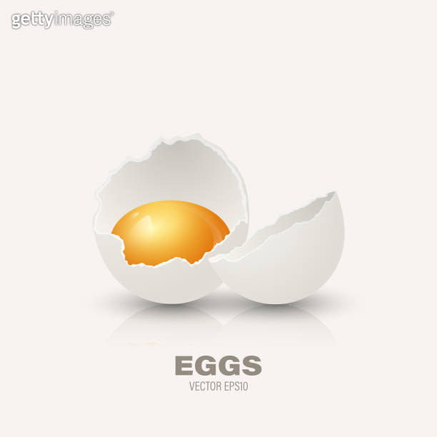 Vector 3d Realistic White Chicken Eggs. Broken Chicken Egg, Cracked Two Parts, Opened Crack Raw ...