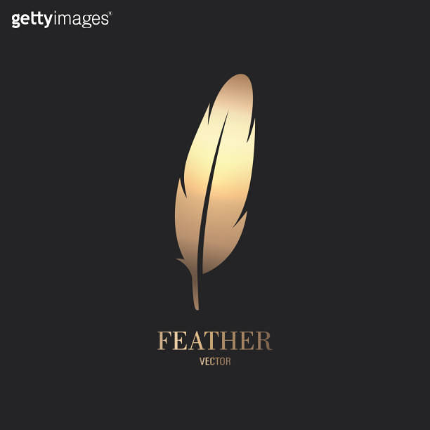 Vector Fluffy Golden Color Feather Logo Icon, Silhouette Feather ...