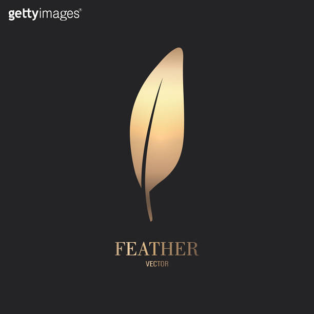 Vector Fluffy Golden Color Feather Logo Icon, Silhouette Feather ...