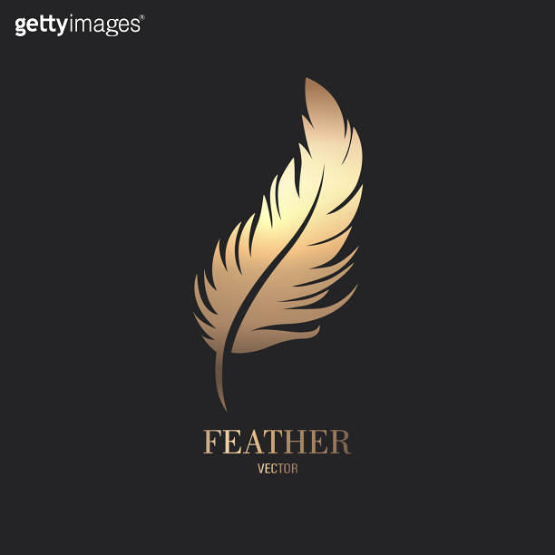 Vector Fluffy Golden Color Feather Logo Icon, Silhouette Feather ...