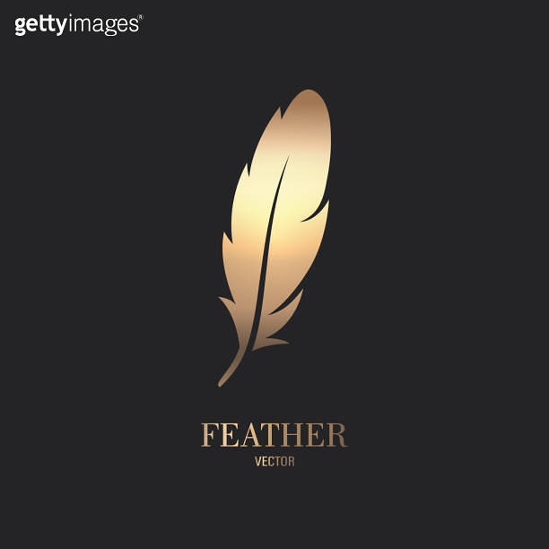 Vector Fluffy Golden Color Feather Logo Icon, Silhouette Feather ...