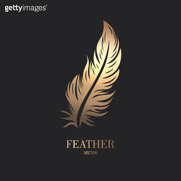 Vector Fluffy Golden Color Feather Logo Icon, Silhouette Feather ...