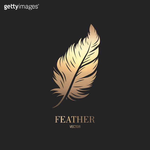 Vector Fluffy Golden Color Feather Logo Icon, Silhouette Feather ...