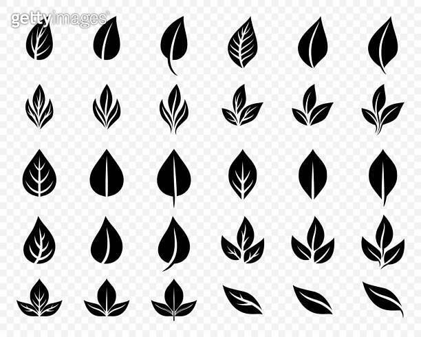 Vector Flat Black and White Leaf Icon Set Isolated. Leaves Collection ...