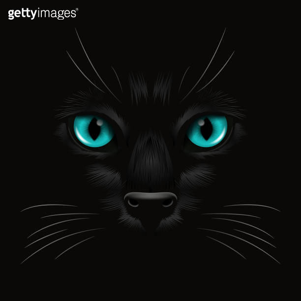 Vector 3d Realistic Red Cats Eye of a Black Cat in the Dark, at Night ...
