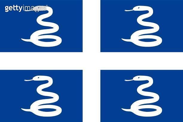 Martinique flag, official colors and proportion. Vector illustration ...