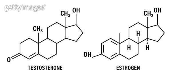 Structural Chemical Formulas Of Testosterone Molecule Molecular