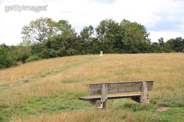 Pewley Down bench Guildford England 이미지 (1643834129) - 게티이미지뱅크