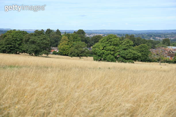 Merrow Downs park Guildford Surrey England 이미지 (1830208343) - 게티이미지뱅크