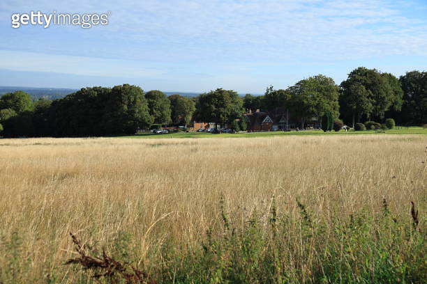 Merrow Downs park Guildford Surrey England 이미지 (1830207775) - 게티이미지뱅크