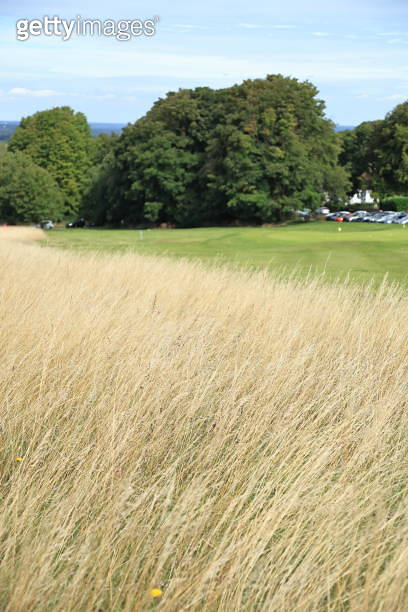 Merrow Downs park Guildford Surrey England 이미지 (1830208390) - 게티이미지뱅크