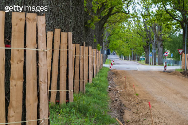 Tree trunk protection. A tree trunk covered with boards to protect from ...