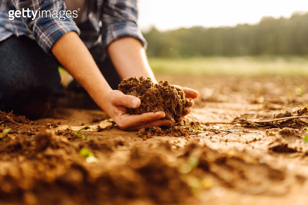 Farmer's hands holding soil, checking soil health before sowing. 이미지 ...