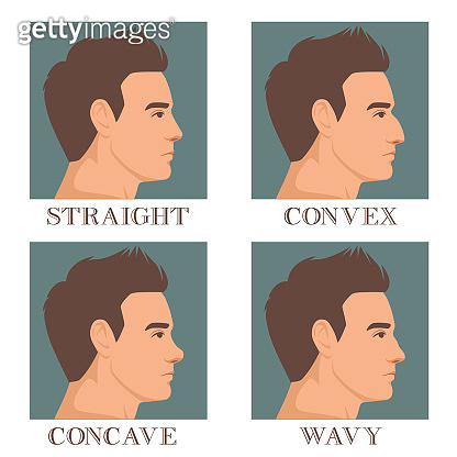 male face in profile with different types of nose convex, straight ...